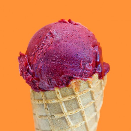 Sorbet Cassis BIO - Le Métropole Glacier à Marseille